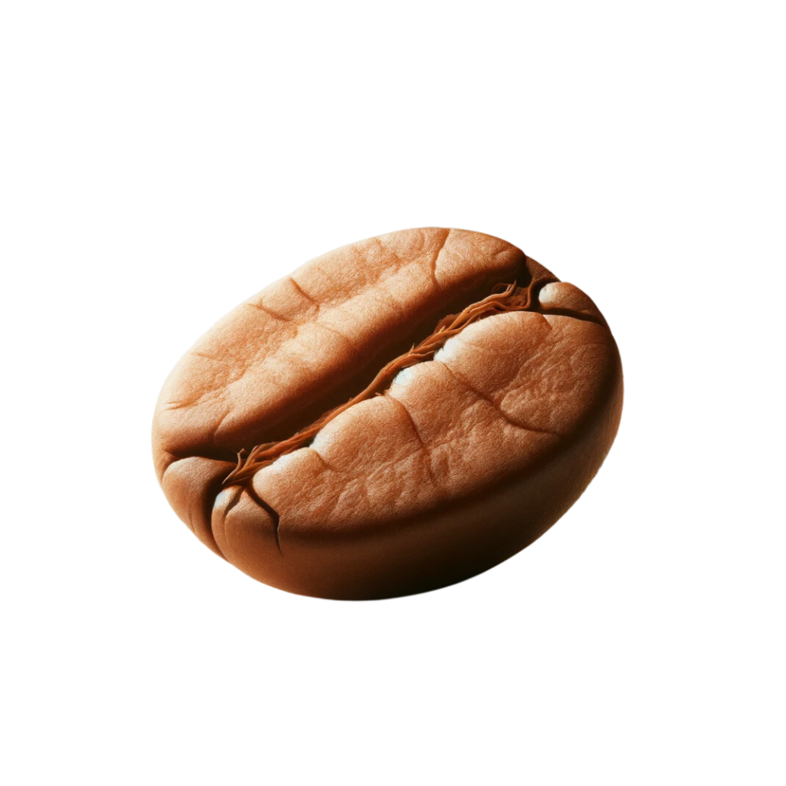 BVP Coffee Co. | Specialty Coffee, Premium Oat Milk, & More