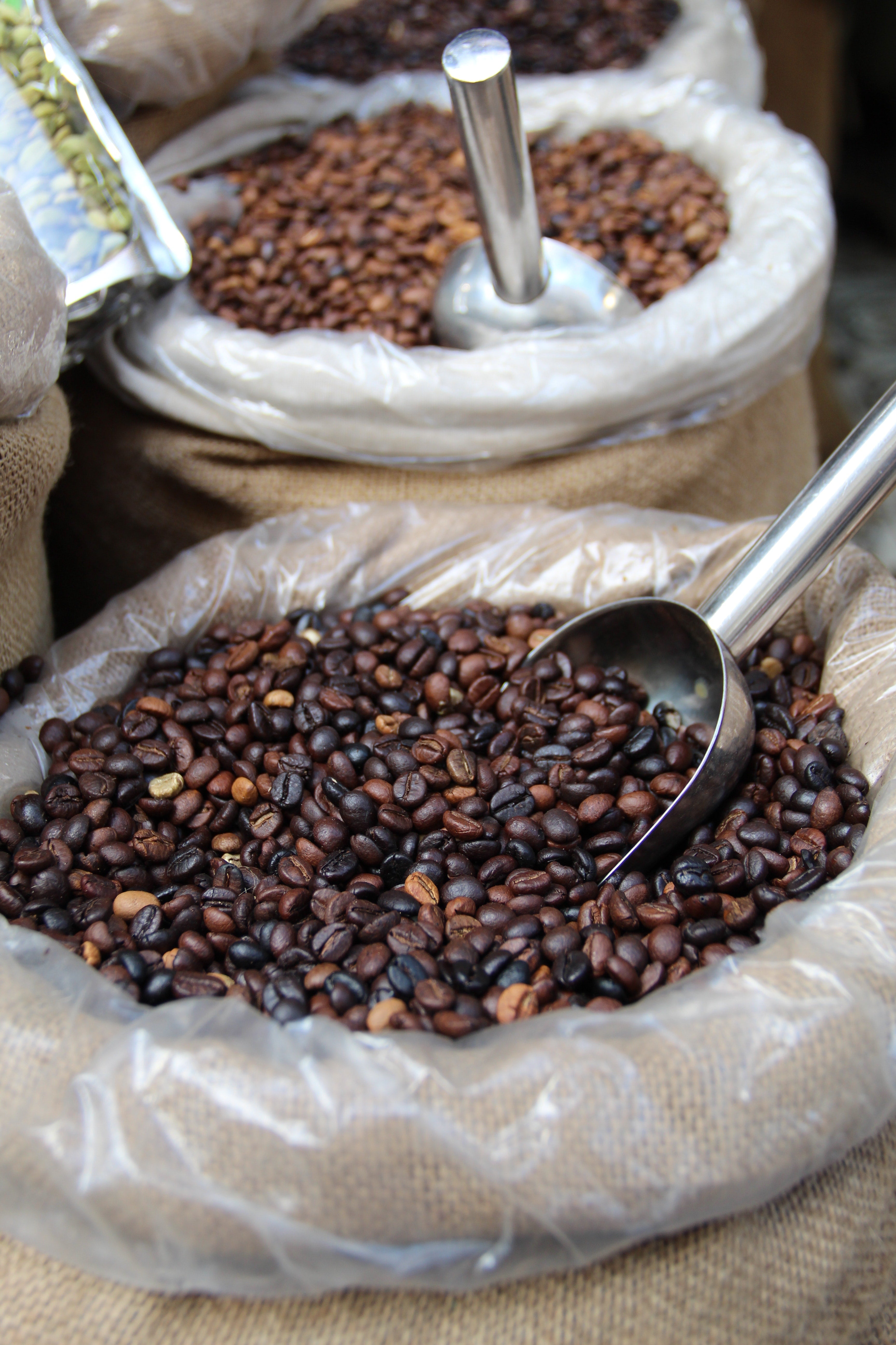 Bulk Coffee – BVP Coffee Co.